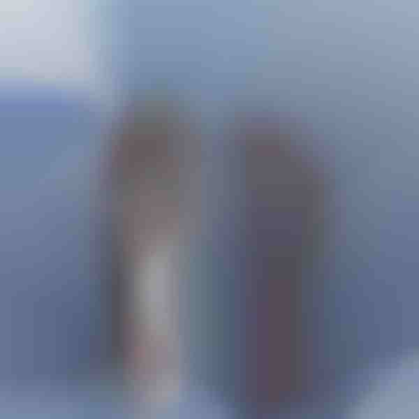 Batų įdėklas su 4D CLOUD technologija | CLOUDSTEP – superzebra.lt